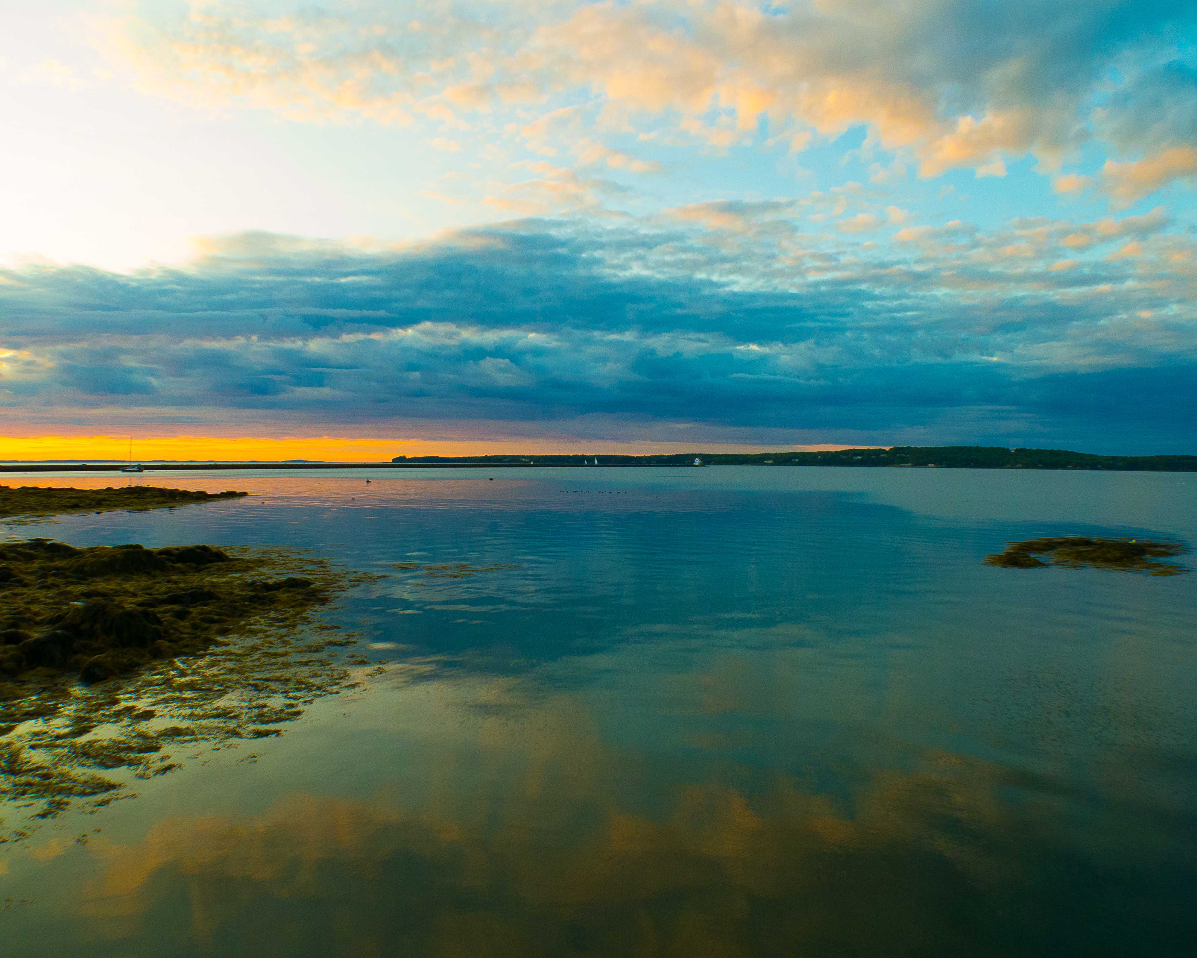 Still Waters Psychology